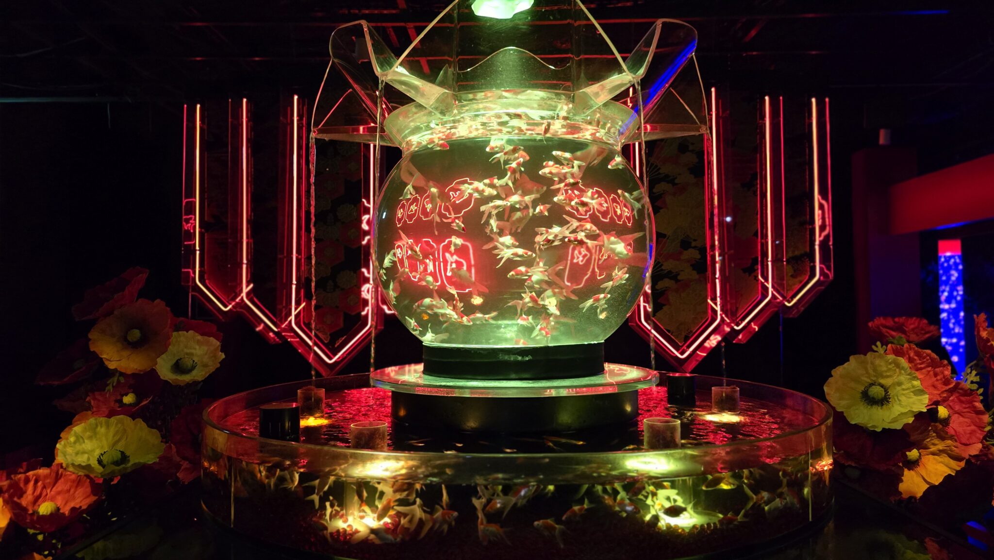 アートアクアリウム銀座の見どころ｜Flower Aquarium Galaで楽しむ金魚と花の特別展示 - 水族館のにゃんにゃん