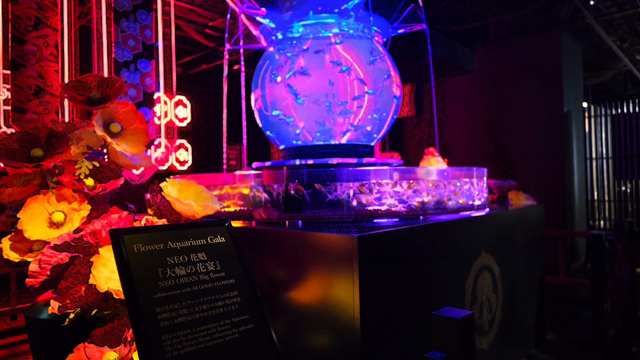 アートアクアリウム銀座の見どころ｜Flower Aquarium Galaで楽しむ金魚と花の特別展示 - 水族館のにゃんにゃん